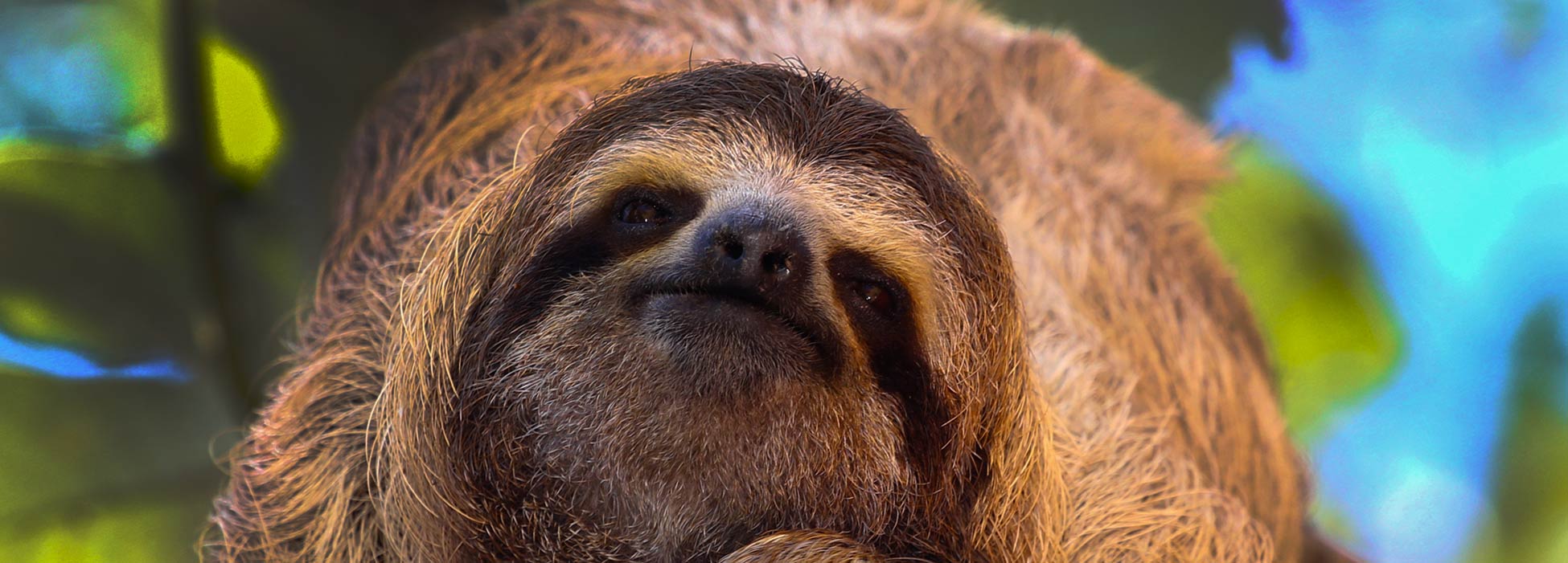 Natural Costa Rica - Costa Rica Dream Adventures