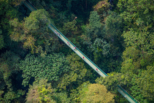 Costa Rica tree top walk - Costa Rica Dream Adventures